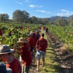 Full Day Private Wine Tour Exclusively Tailored To Suit You - Breaking Down the Experience: What to Expect