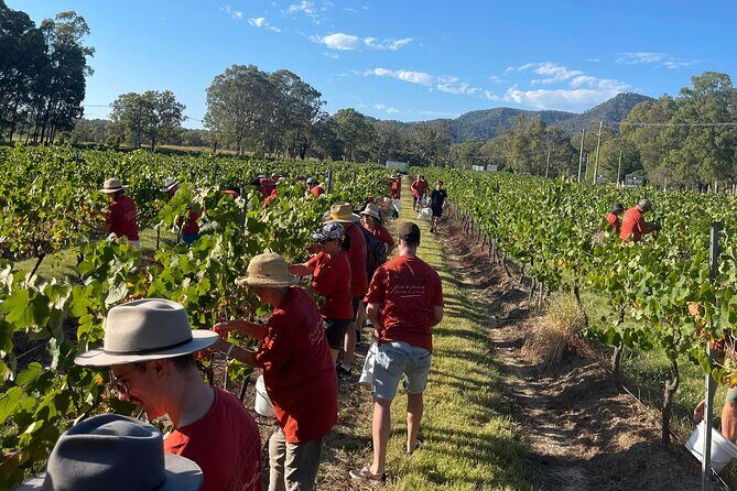 Full Day Private Wine Tour Exclusively Tailored To Suit You - Breaking Down the Experience: What to Expect