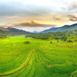 Full Day Pu Luong with Cycling, Cooking Class, Buffalo Cart Ride. - Practical Details and Value