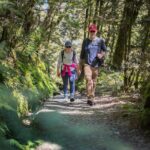 Full-Day Routeburn Track Key Summit Guided Walk from Te Anau - Analyzing the Value