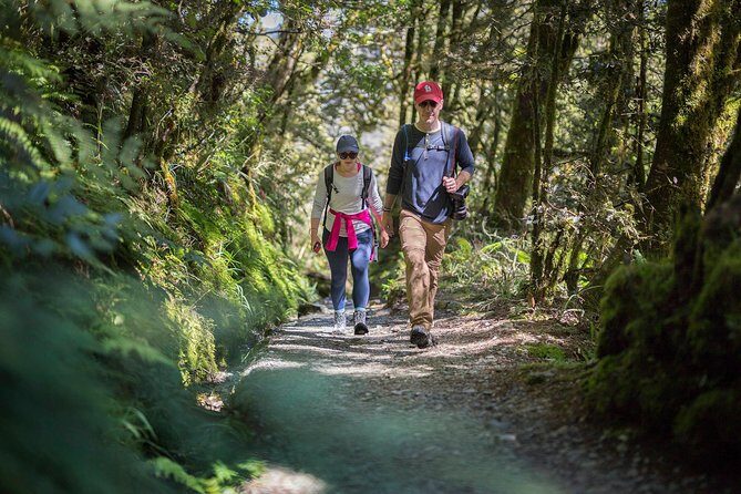 Full-Day Routeburn Track Key Summit Guided Walk from Te Anau - Analyzing the Value
