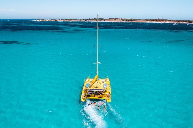 Full Day Sail to Rottnest Island from Fremantle - Unpacking the Pros and Cons
