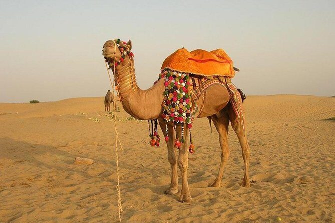 Full Day Sightseeing Tour of Jaisalmer - Hassle-Free Transportation and Flexibility