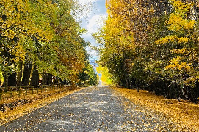 Full Day Sightseeing Tour To Discover Queenstown's Scenic Wonder - The Sum Up