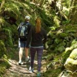 Full-Day Small-Group Routeburn Valley Hike - Is This Tour Worth the Price?