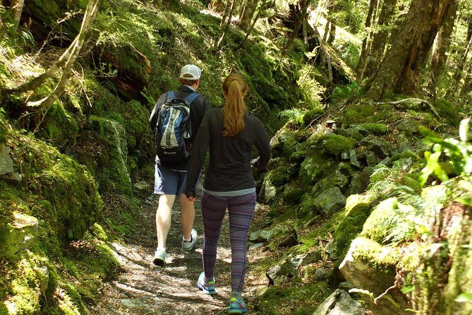 Full-Day Small-Group Routeburn Valley Hike - Is This Tour Worth the Price?