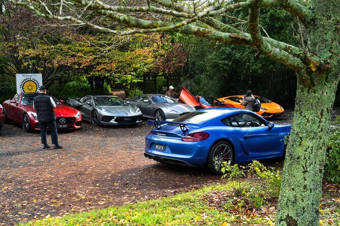 Full-Day Supercar Drive Experience from Auckland (lunch included) - Who Should Consider This Tour?