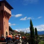 Full-Day Taste the Wines of Marlborough Tour - What Do the Reviews Say?