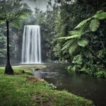 Full-day Tour at the Atherton Tablelands with Food Tasting - Who Should Consider This Tour?