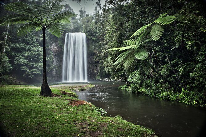 Full-day Tour at the Atherton Tablelands with Food Tasting - Who Should Consider This Tour?