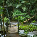 Full Day Tour Cascades Adventure, Turtles and Blue Lagoon - Why This Tour Might Be Just Right for You