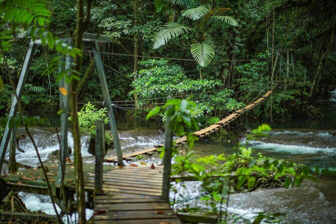 Full Day Tour Cascades Adventure, Turtles and Blue Lagoon - Why This Tour Might Be Just Right for You