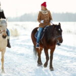 Full-Day Tour from Tashkent: Amirsoy, Chimgan & Charvak - Who Is This Tour Best For?