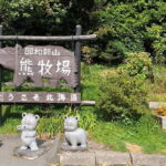 Full Day Tour in Hokkaido and Lake Toya from Sapporo - Transportation and Group Dynamics