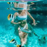 Full Day Tour : Moorea Snorkeling & Sunset Cruise on a Catamaran named Taboo - Final Thoughts