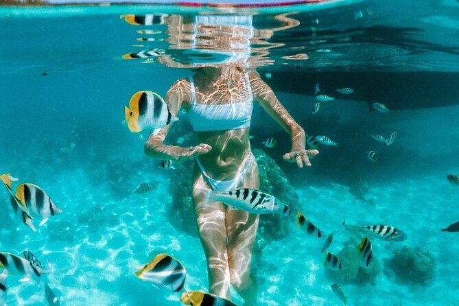 Full Day Tour : Moorea Snorkeling & Sunset Cruise on a Catamaran named Taboo - Final Thoughts
