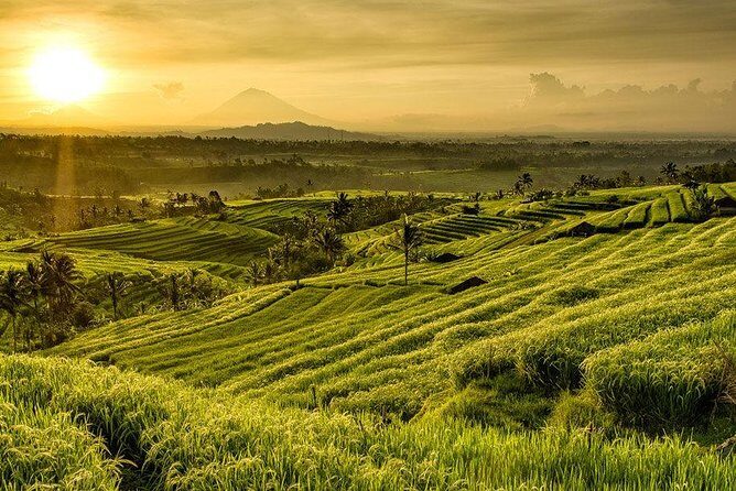 Full Day Tour of Tabanan - The Itinerary: What to Expect from Each Stop