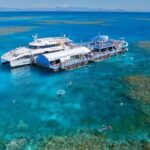 Full Day Tour to Sunlover Cruises Moore Reef and Fitzroy Island - Highlights of the Reef Experience