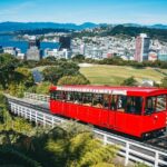 Full Day Wellington Tour - Including maoritanga - Practical Details & What They Mean for You