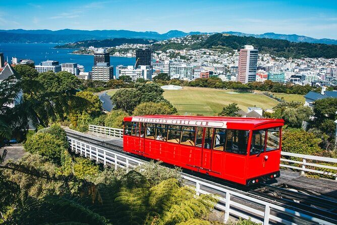 Full Day Wellington Tour - Including maoritanga - Practical Details & What They Mean for You