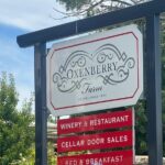 Full Day Wine Tasting Tour in McLaren Vale - What’s Included and What’s Not
