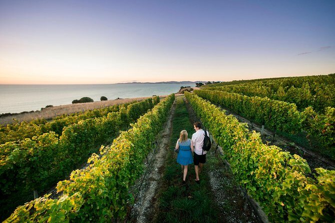 Full Day Winemakers Tour in Marlborough - A Closer Look at the Itinerary