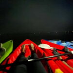 Full Moon Night Kayaking to Pathiramanal Island - The Itinerary: What You’ll Actually Do