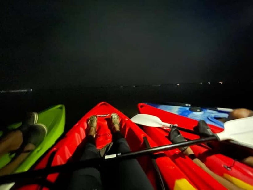 Full Moon Night Kayaking to Pathiramanal Island - The Itinerary: What You’ll Actually Do