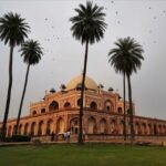 Full or Half Day Private Guided Tour of Old and New Delhi - The Sum Up