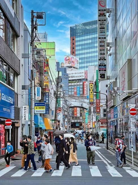 Full Tokyo: Meiji Shrine, Imperial Palace, Asakusa & Skytree - Transportation and Logistics