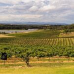 Fully Private and Customisable Hunter Valley Wine Tour - Authentic Experiences and Customer Insights