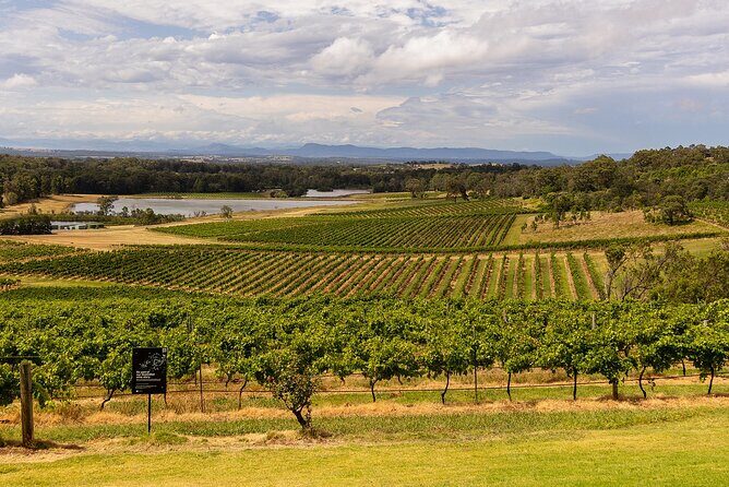 Fully Private and Customisable Hunter Valley Wine Tour - Authentic Experiences and Customer Insights