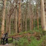 Fully Tailored Private Bespoke Tour of Margaret River - Detailed Tour Breakdown