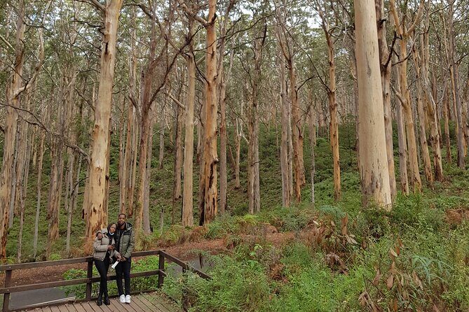 Fully Tailored Private Bespoke Tour of Margaret River - Detailed Tour Breakdown