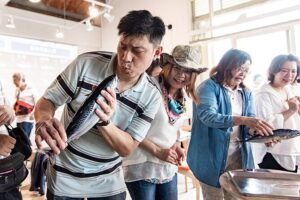 Fun Fish Touching at Qixingtan