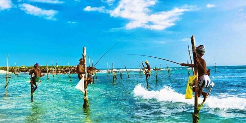 Galle Day Trip - River Safari, Sea Turtle & Stilt Fishermen - Starting Off: Early Morning Pickup and Transportation