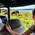 Galle/Mirissa/Hiriketiya: Drop to Ella & Udawalawa Safari - What’s Included and What’s Not