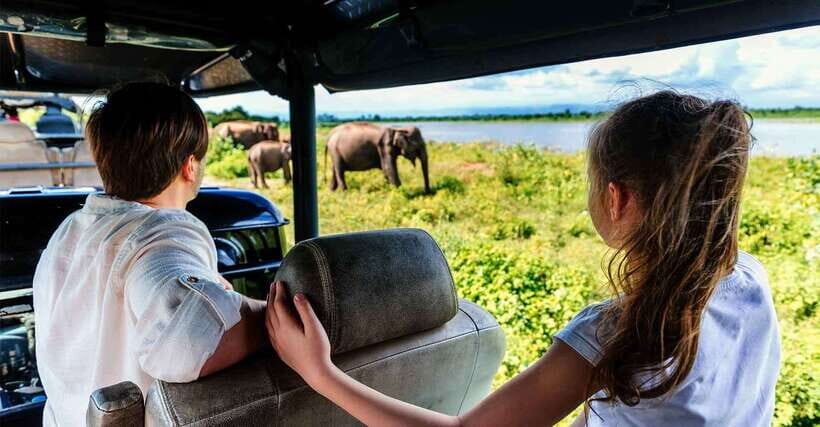 Galle/Mirissa/Hiriketiya: Drop to Ella & Udawalawa Safari - What’s Included and What’s Not