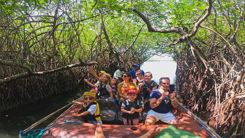 Galle Private Day Tours from: Ella/Yala/Udawalawe & More - Why This Tour Is a Great Choice