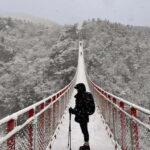 Gamaksan & IceWall Cafe & Eunpyeong HanokVillage & Jingwansa - Practical Aspects: What to Expect