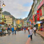 Gangtok: Guided Walking Tour with Ridge Park & Monastery - Final Thoughts: Who Is This Tour For?
