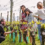 Gibbston Valley Wines - Winery Tour - The Itinerary in Detail