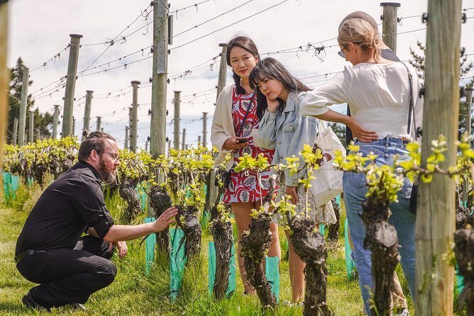 Gibbston Valley Wines - Winery Tour - The Itinerary in Detail