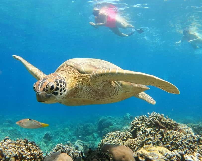 Gili Air : Sharing Snorkeling Tour + Gopro Shooting - The Itinerary Breakdown