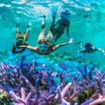 Gili Islands: Underwater Statues Cruise and Snorkeling - What’s Included and What to Bring