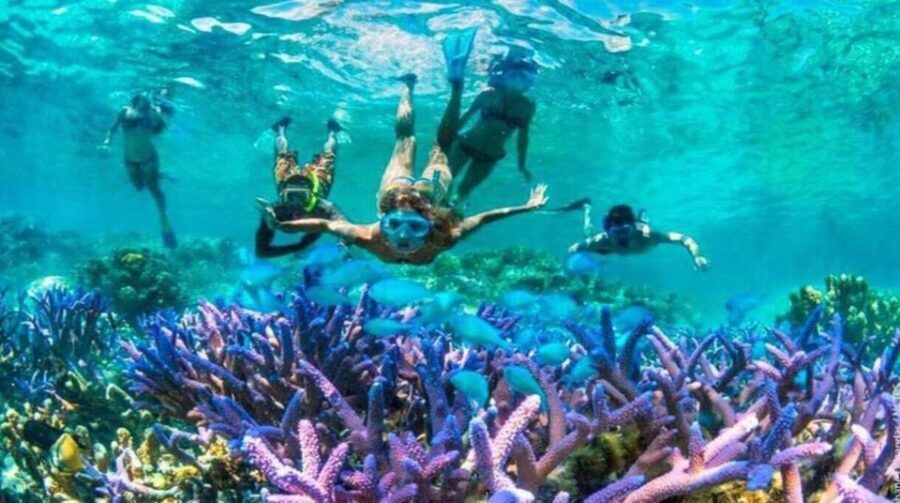 Gili Islands: Underwater Statues Cruise and Snorkeling - What’s Included and What to Bring