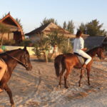 Gili Meno: 1-Hour Beginner Horse Riding Experience - What’s Not Included and Practical Tips