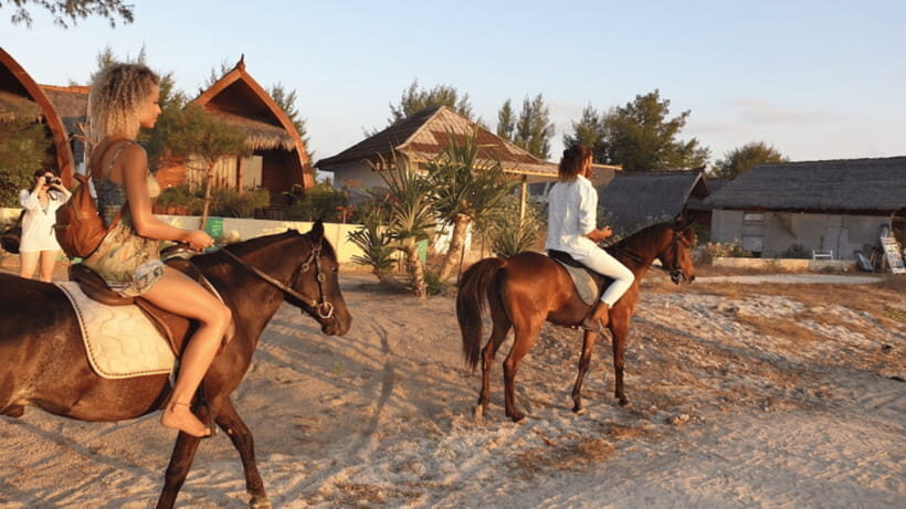 Gili Meno: 1-Hour Beginner Horse Riding Experience - What’s Not Included and Practical Tips