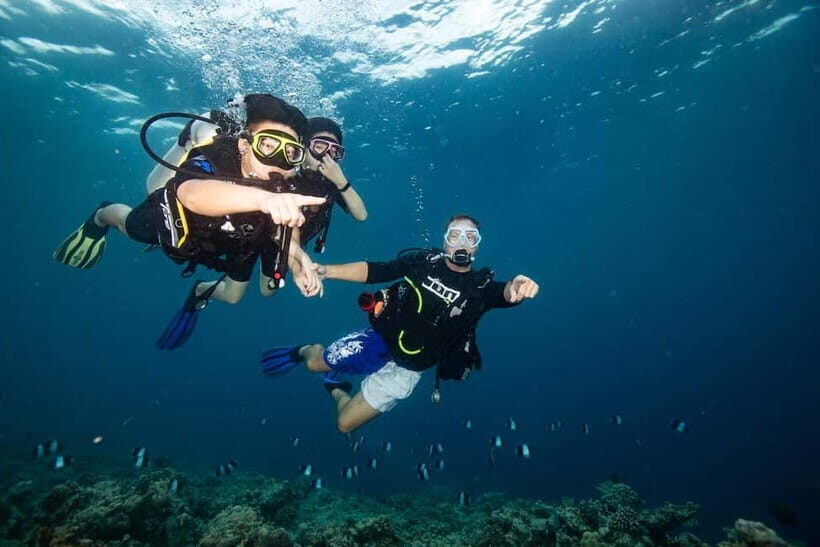 Gili Meno: Discover Scuba Diving for the first time - The Sum Up