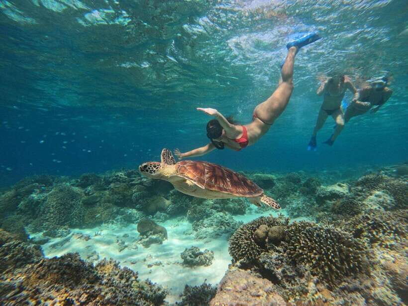 Gili SUNSET Snorkeling Tour With GOPRO Documentation - What to Expect on the Gili Sunset Snorkeling Tour